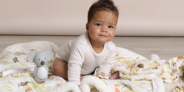 Aussie Animals Zoo Animals Novelty Baby Gifts | Australian Nursery ...